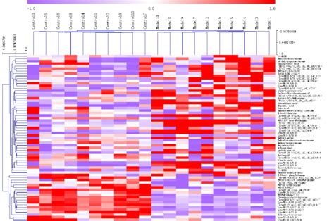 heat map analysis of differential metabolites in t2d db db mice