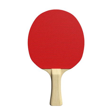Anatomy Of A Ping Pong Paddle