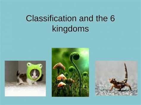Ppt Classification And The 6 Kingdoms I Taxonomy A Branch Of