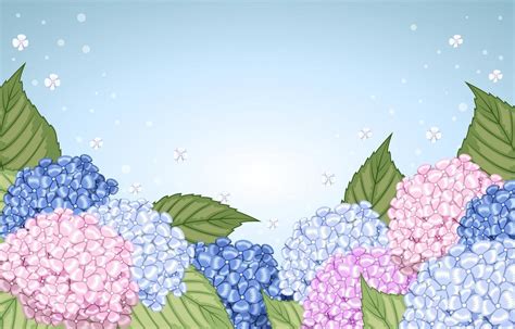 Hydrangeas Background