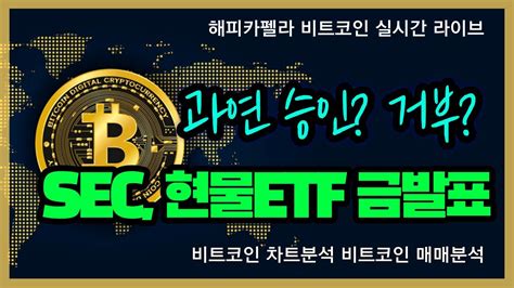 비트코인 실시간 Sec 현지시간 금에 현물etf 발표 승인 거부 14점심💎 비트코인 비트코인실시간 이더리움 리플 Cryptocurrency 차트분석