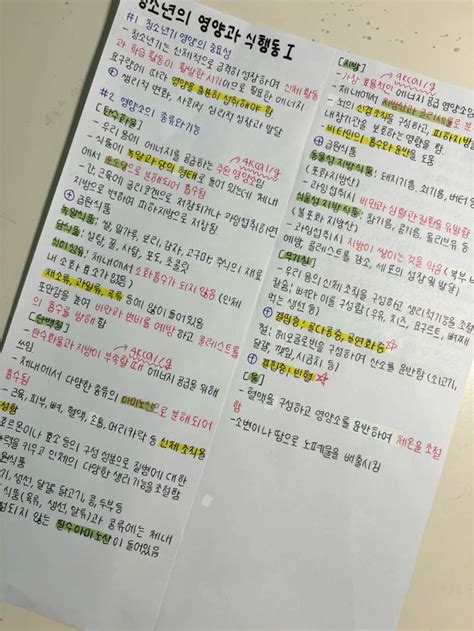 공스타그램 필기 시험 11년생 스터디 플래너 열심히 공부하다 연구 노트