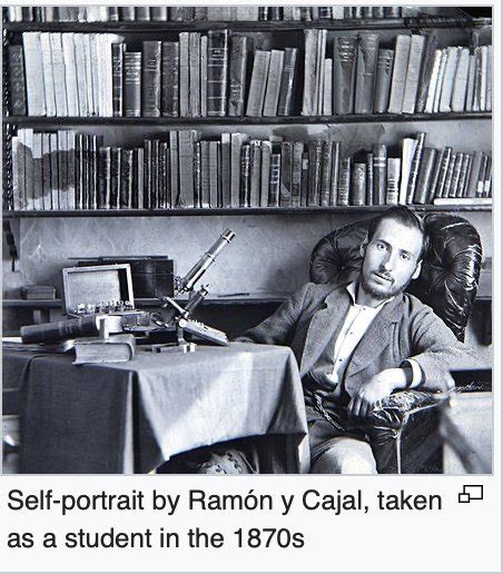 How To Measure Neuronal Branching Patterns In A Simple Way Quora