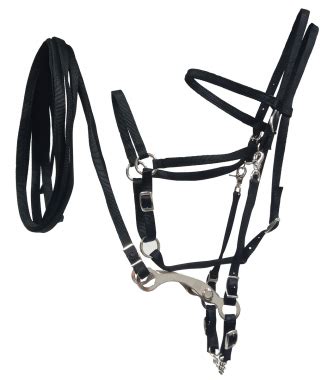 Hamilton Halter Bridle Set Chicks Discount Saddlery