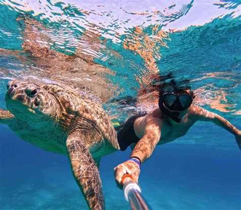 Read This Before Doing Any Tulum Snorkeling Excursions So You Dont