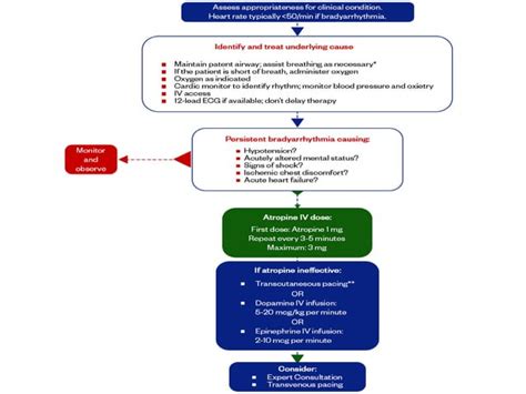 Bradycardia In Ecgcauses And Its Management Pptx