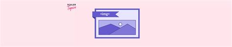 What Tag Is Used To Display A Picture In A HTML Page Scaler Topics