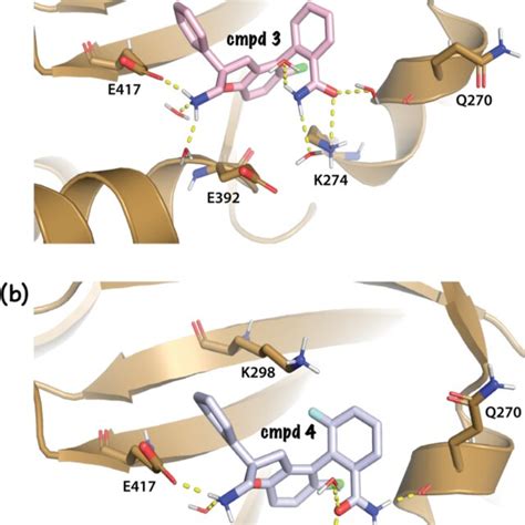 Snapshot From Md Trajectory Of Hydrogen Bonding Interaction Network Of