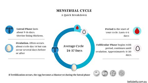 How To Detect Your Luteal Phase Gameclass18