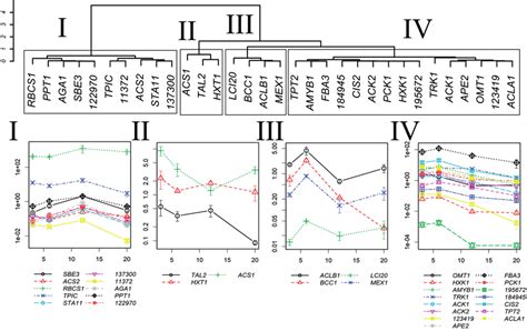 dendrogram of hierarchical clustering ward method of the genes