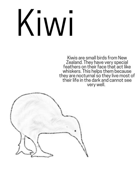 Ratite Coloring And Activity Sheets Etsy