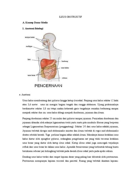 Ileus Obstruktif Pdf