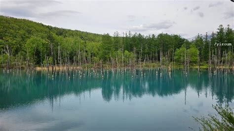 5월 삿포로 여행기 3 비에이 후라노 당일 투어 Feat 홋카이도랩 네이버 블로그