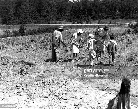 Tenant Farmer Photos And Premium High Res Pictures Getty Images
