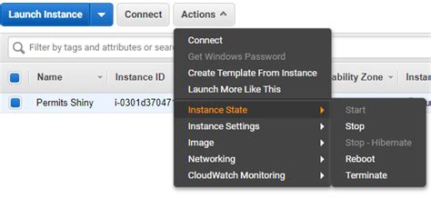 How To Host An R Shiny App On AWS EC Via Shiny Server And RStudio Server On A Windows Machine