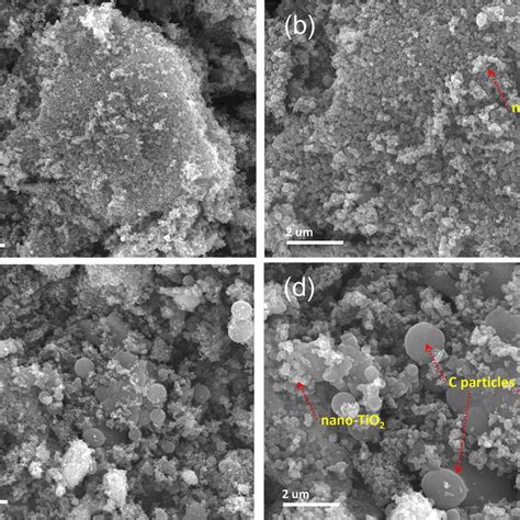 SEM Images Of A B C TiO And C D C TiO S Download Scientific Diagram