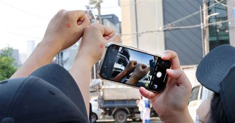 [오늘 날씨] 대선일 흐리다가 오후부터 맑아져…낮 최고기온 28도까지 올라