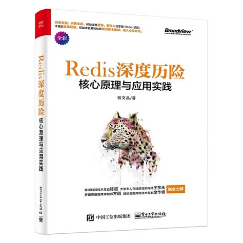 正版书籍 Redis深度历险核心原理与应用实践钱文品 Redis中间件运维技术详解教程书籍中前端技术参考用书数据库redis缓存技术虎窝淘