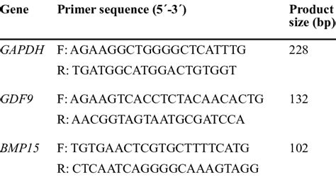 Primer Sets Used For Real Time RT PCR Download Scientific Diagram