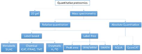 6 Methods For Quantitative Analysis In Proteomics Download