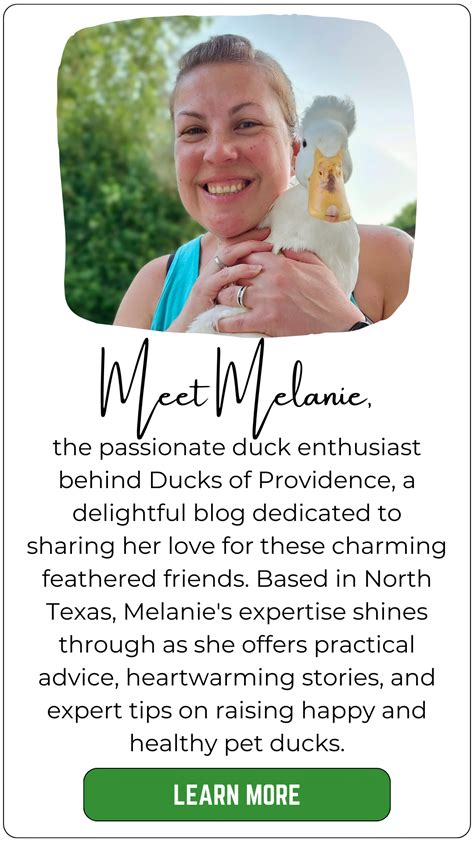 Exploring Duck Migration