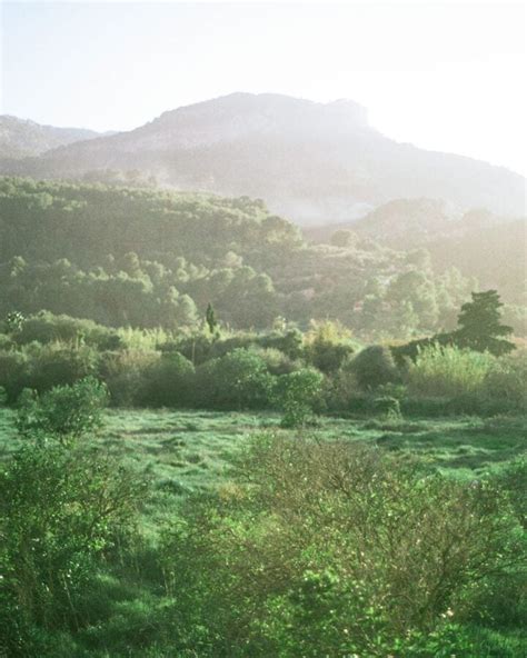 Eva Abeling Invites Us To Step Into A World Of Introspection And Wonder Ignant