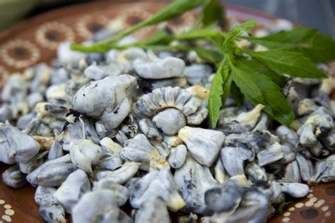 Heres Everything You Need To Know Before Eating Huitlacoche