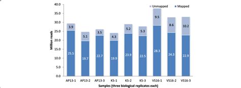 Total Mapped And Unmapped Rna Seq Clean Reads For The Three Genotypes Download Scientific