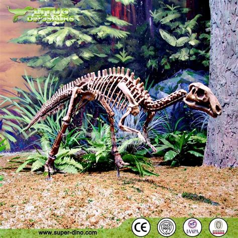 Bactrosaurus