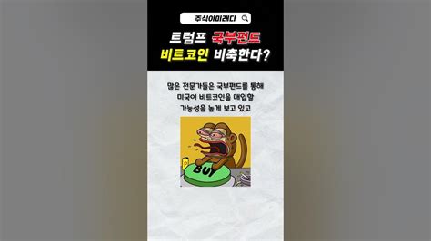 트럼프 국부펀드 설립 비트코인 비축 Youtube