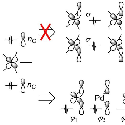 Homo In The Intramolecular Coupling Of Two 1 Allyl Ligands On Pd Download Scientific Diagram