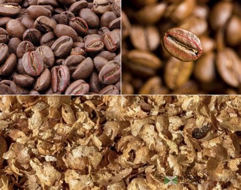 비지니스 포커스 겨 없는 커피 맛 본적 있나요” 크레매틱스 커피 랩 한국일보 애틀랜타