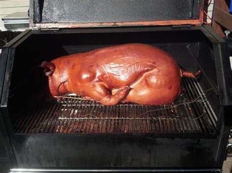 Yoder Y 640 Smoking Meat Forums The Best Smoking Meat Forum On Earth