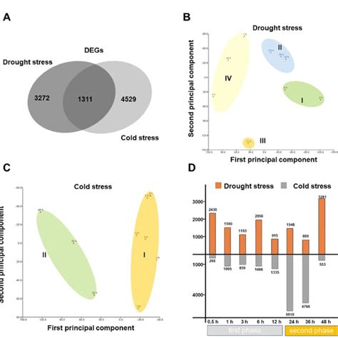 Temporal Dynamics Of M Rubra Transcriptome During Drought And Cold Download Scientific Diagram