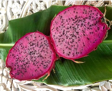 Best Self Pollinating Varieties Of Dragon Fruit