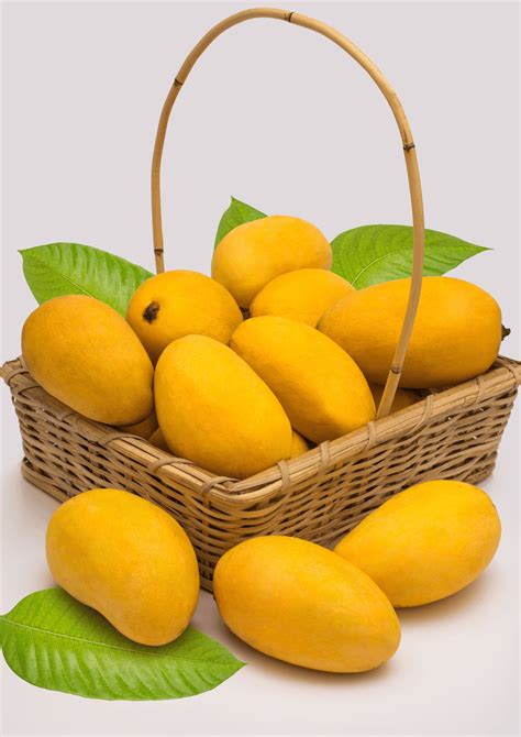 Chaunsa Mango Pak Fresh Farms