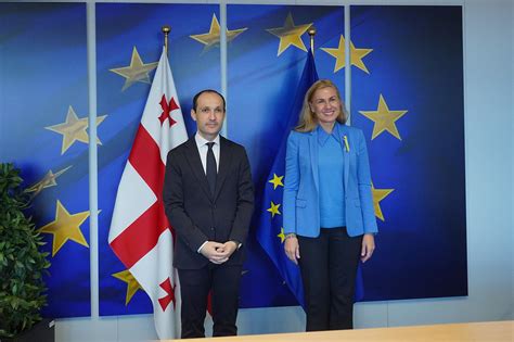 ვიცე პრემიერი ლევან დავითაშვილი ევროკომისარს ენერგეტიკის საკითხებში კადრი სიმსონს შეხვდა