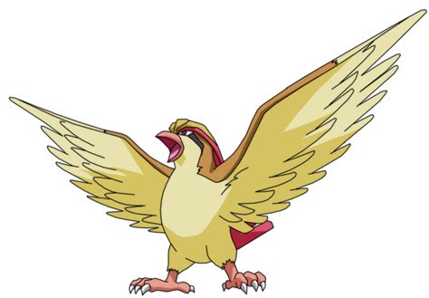 18 Pidgeot By Uraharataichou On Deviantart