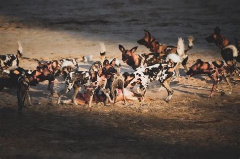 Chloe Mccormack On Linkedin Msandilemagic