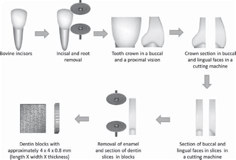 Sample Preparation For The Atr Ftir Analysis Download Scientific Diagram
