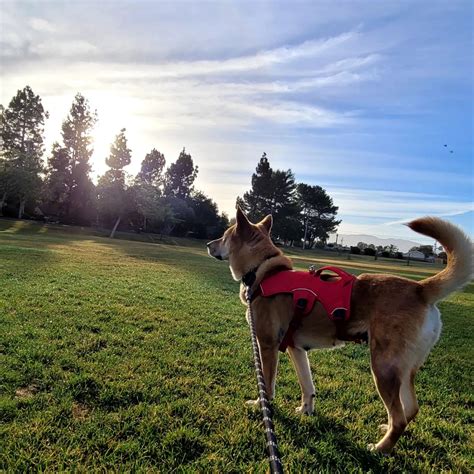 Wendell And Rose Home