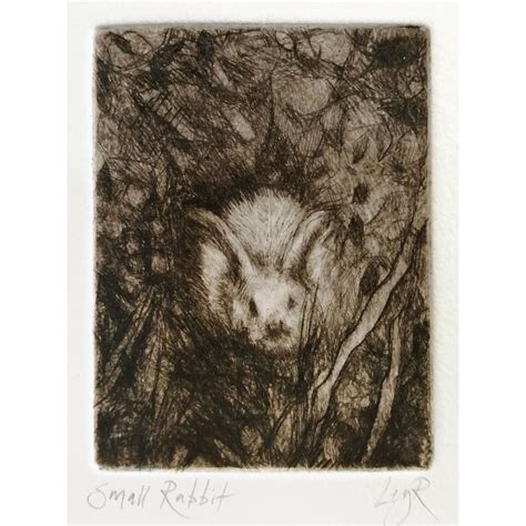 2504c Small Rabbit Ley Roberts