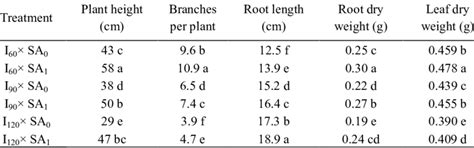 Interaction Effect Of Irrigation × Salicylic Acid On Some Morphological