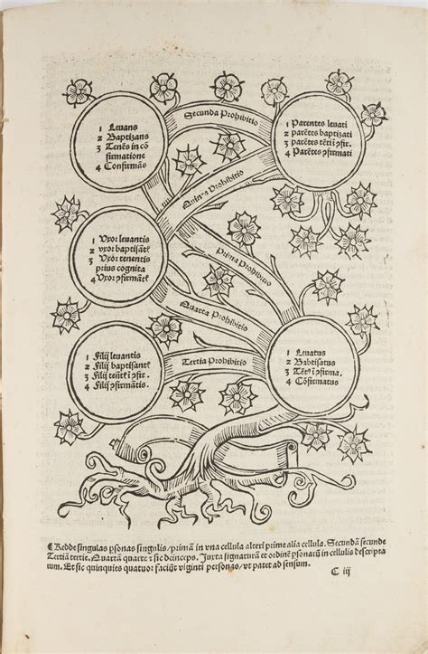 Lecture Jo An Super Arboribus Consaguitatis Et Affinitatis Giovanni
