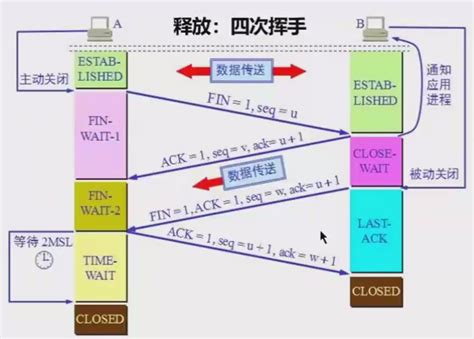 计算机网络八股文 Day4 传输层tcp与udp Csdn博客
