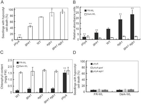 The G Protein Is Involved In Fr Preconditioned Cell Death Of Download Scientific Diagram
