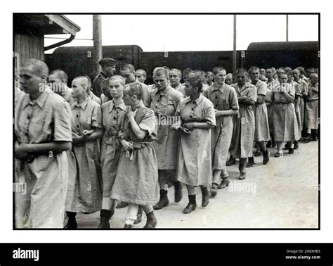 Nazi Female Prisoners