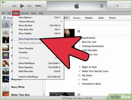 How To Fix Duplicates In Itunes Flatdisk