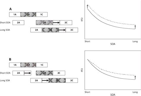 The Predictions Of The Central Bottleneck Model Panel A Shows That Any