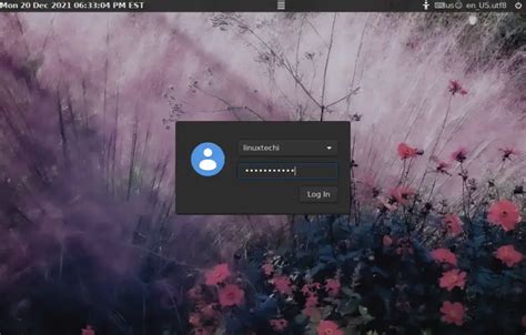 How To Install MX Linux 21 Step By Step With Screenshots